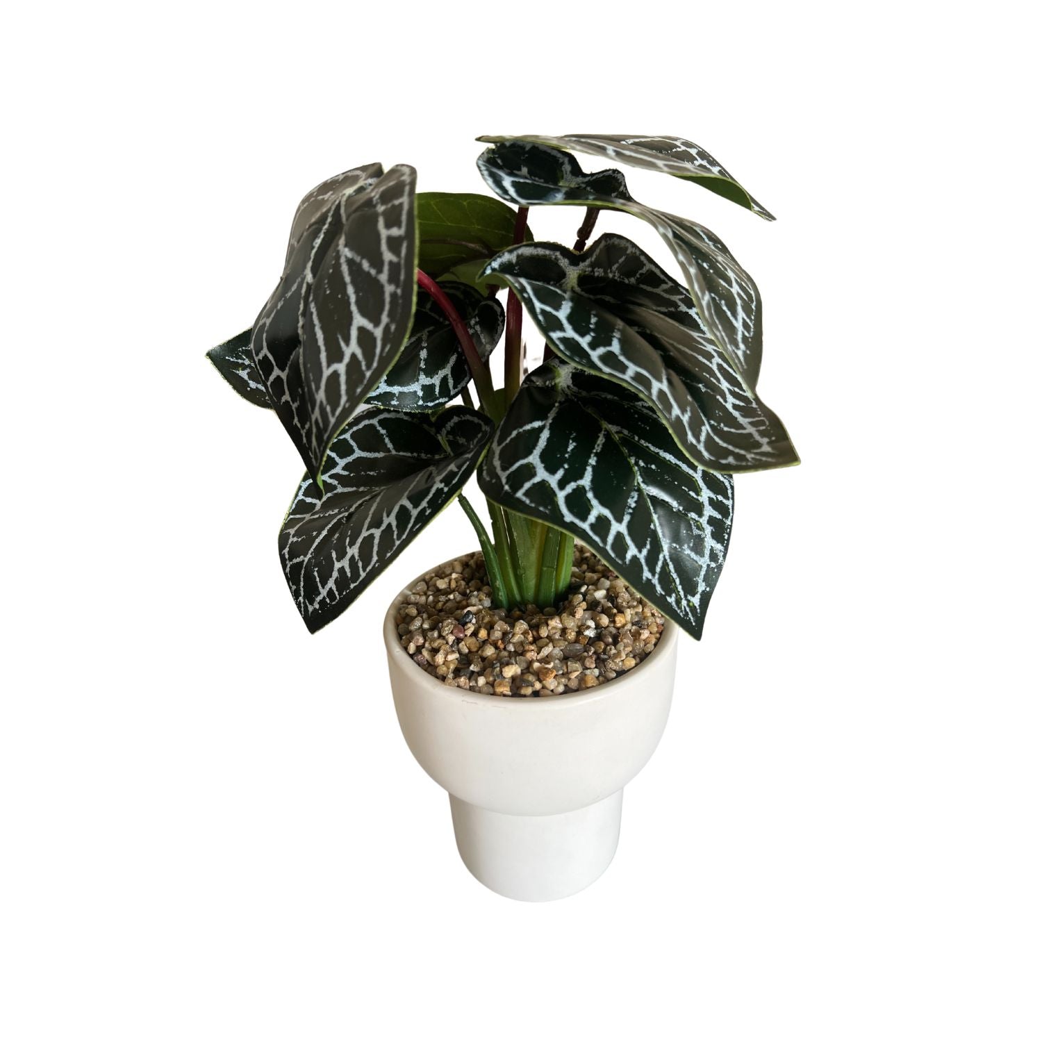 Ramaka Greenery Pot - Stylish Mini Decorative Planters – Ricrac Shop