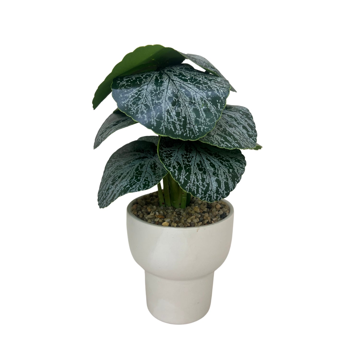 Ramaka Greenery Pot - Stylish Mini Decorative Planters – Ricrac Shop